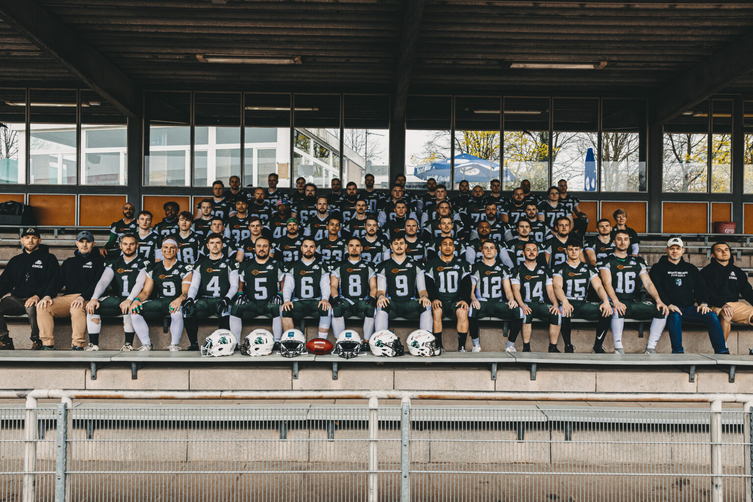Seniors - AFC Bielefeld Bulldogs